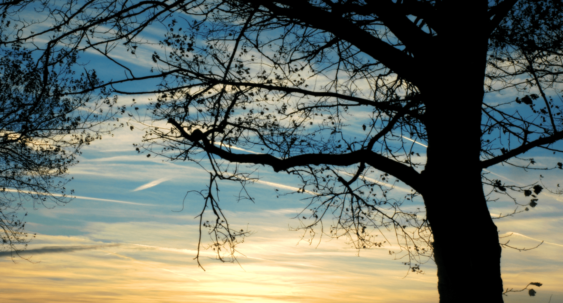 Une bonne mort? Les transformations du rapport à la mort dans la ...